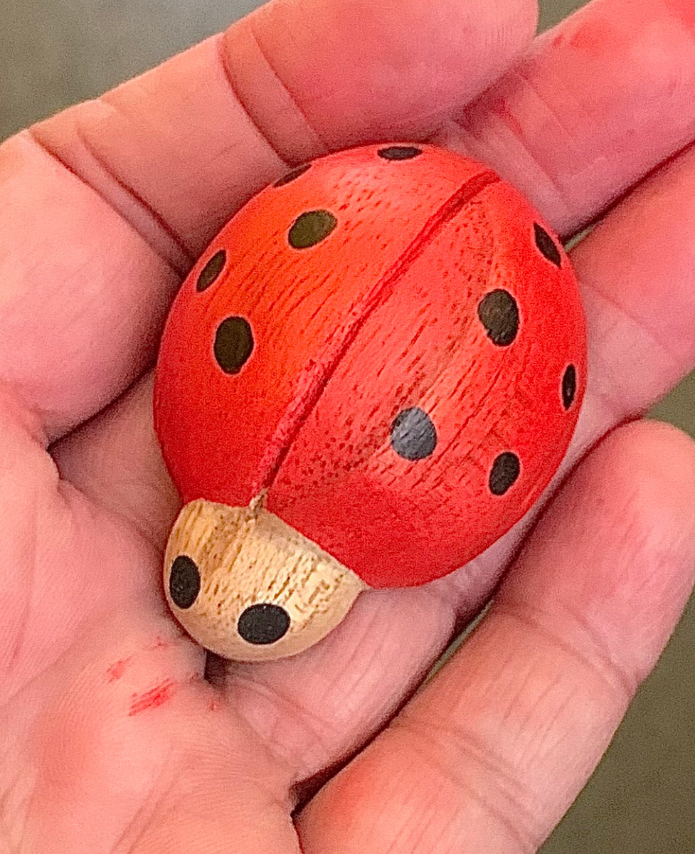 Ladybird – indigo inspirations